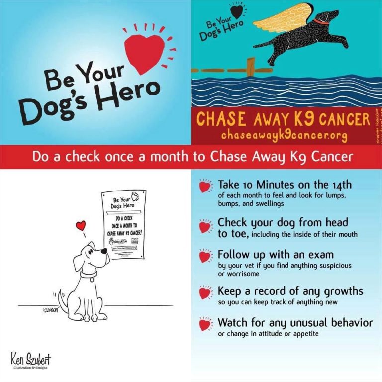 Chase Away K 9 Cancer K9 Trading Post chase-away-k-9-cancer-k9-trading-post